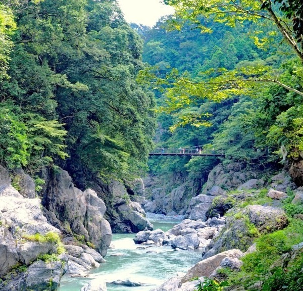 山仲間-関東 アーカイブ - 山コム後継